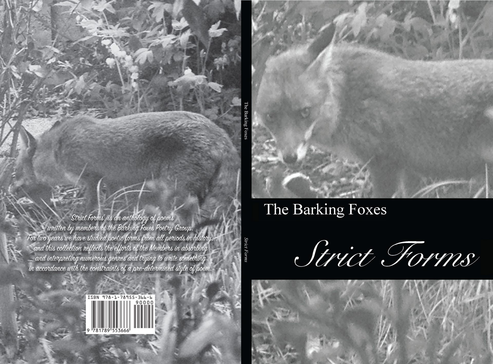 Strict Forms – Pen To Print