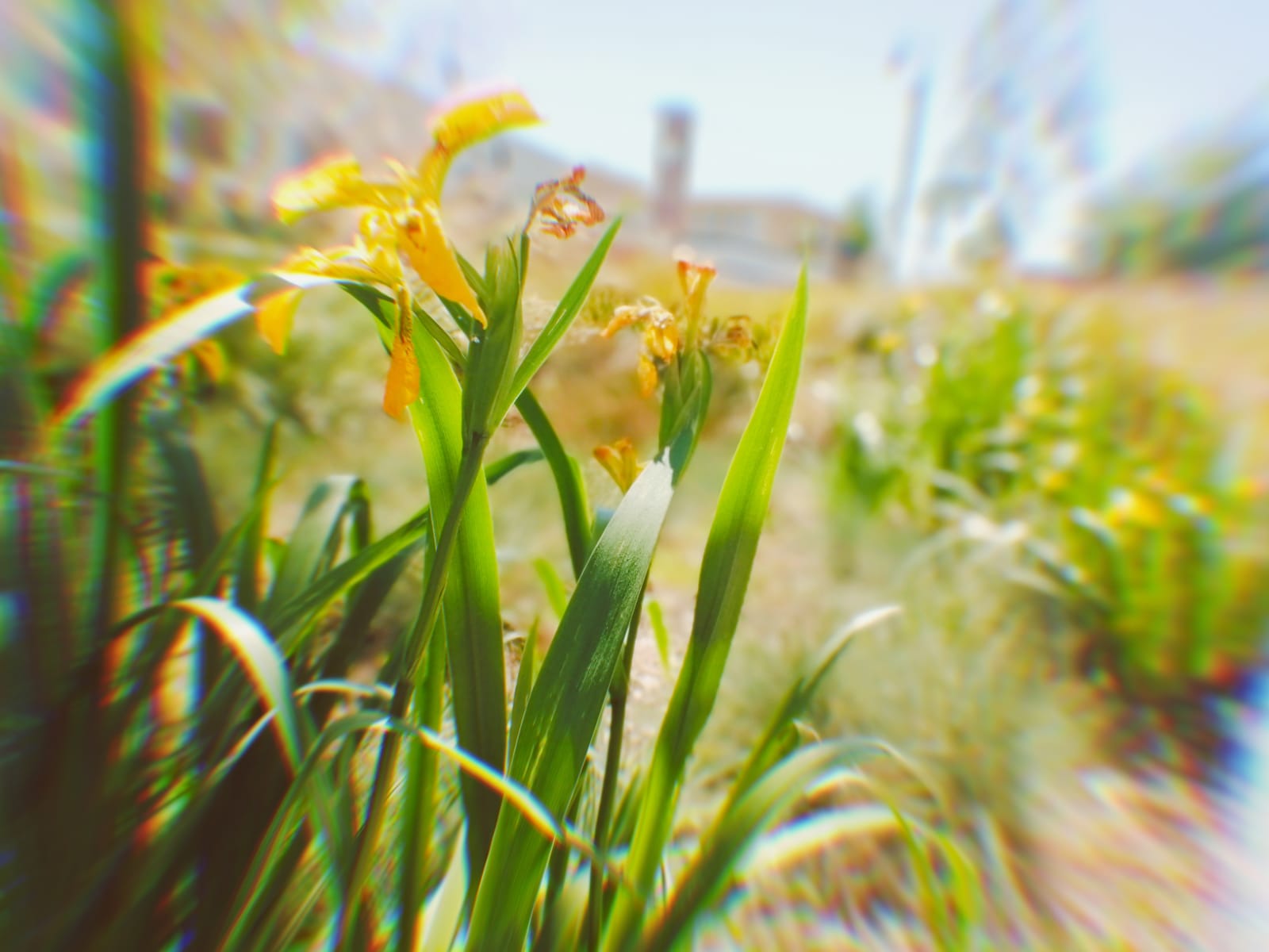 Monday Moments: Invisible Colours – Pen To Print