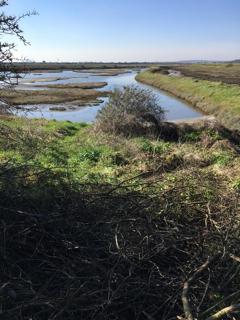 Showcase: Barking To Southend + Two Tree Island – Pen To Print