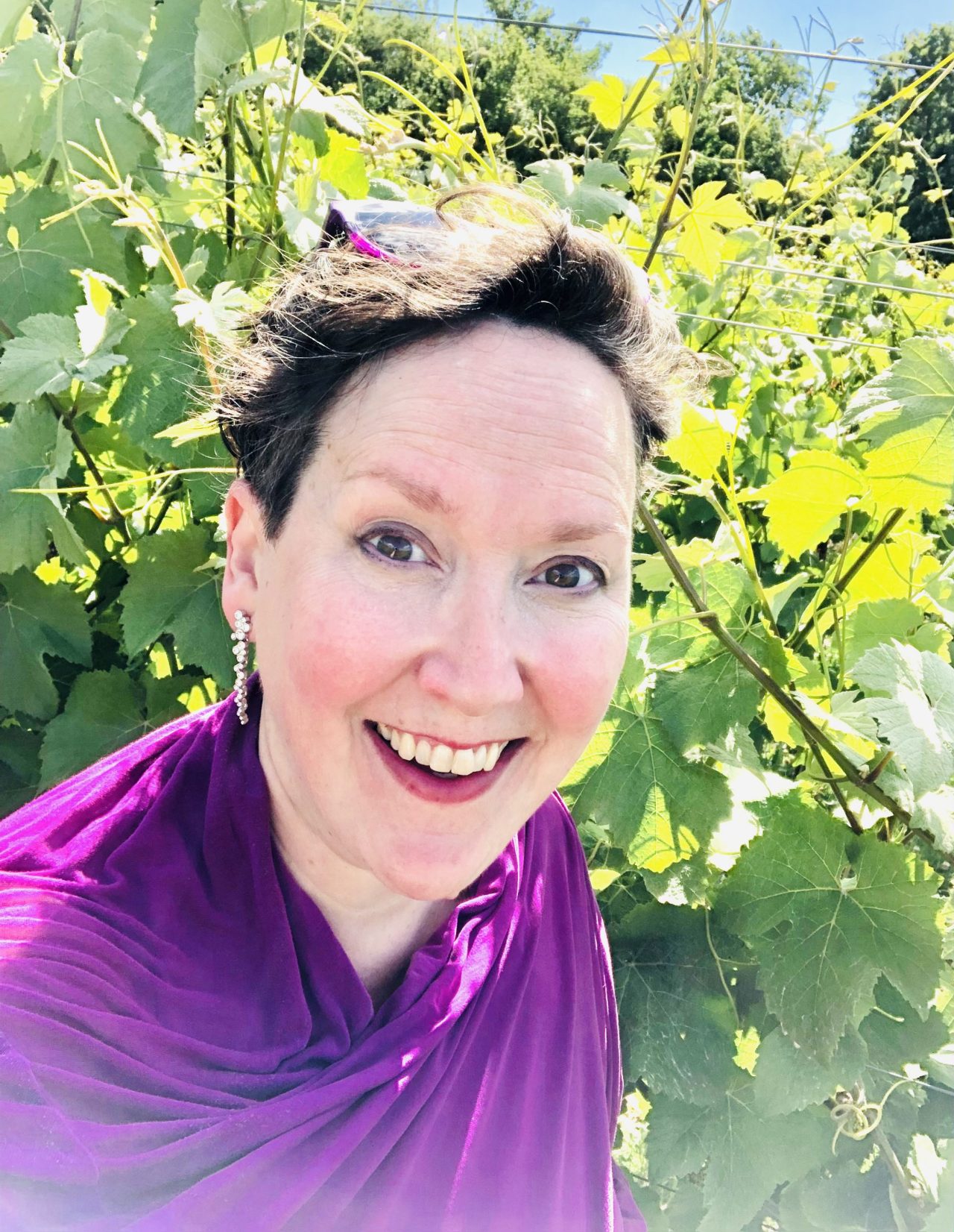 Write On! Features: Careful! Opera Might Change Your Life by Laure Meloy – Pen To Print